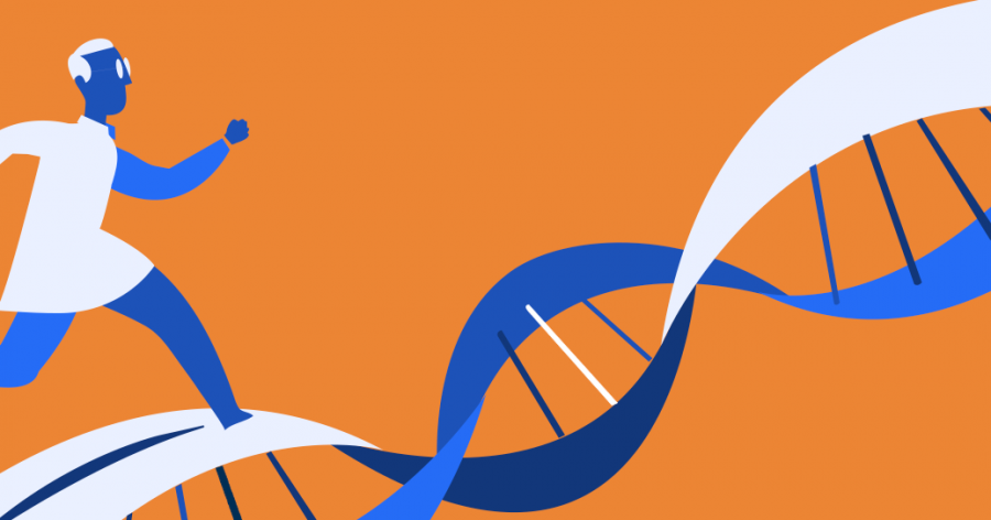 Atributos de marca: o que são e como definir ou pesquisar?